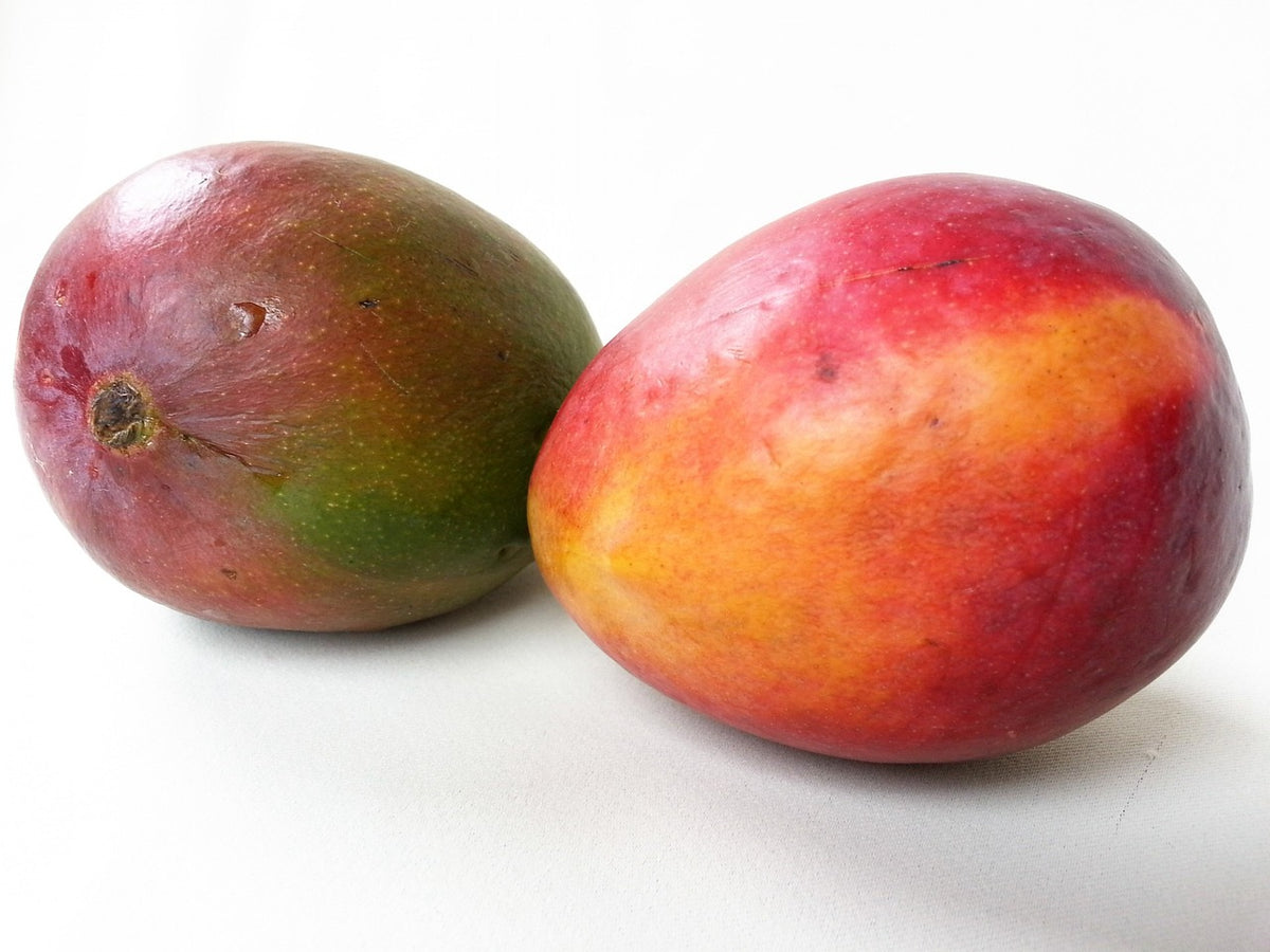 Mango (Single) – The Fruit and Veg Man