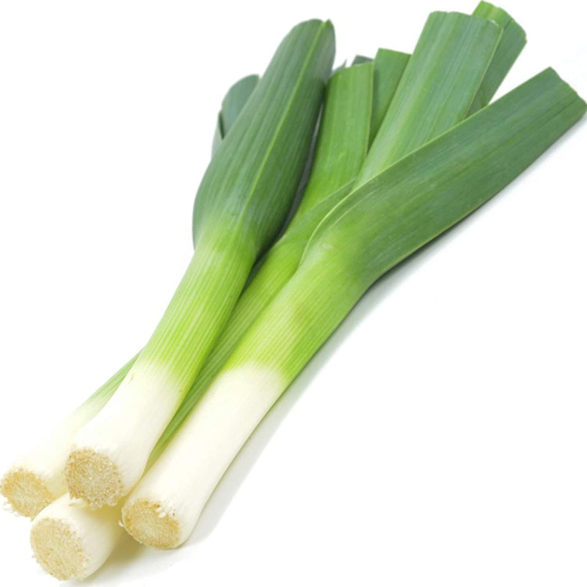 Leek (Single) – The Fruit and Veg Man